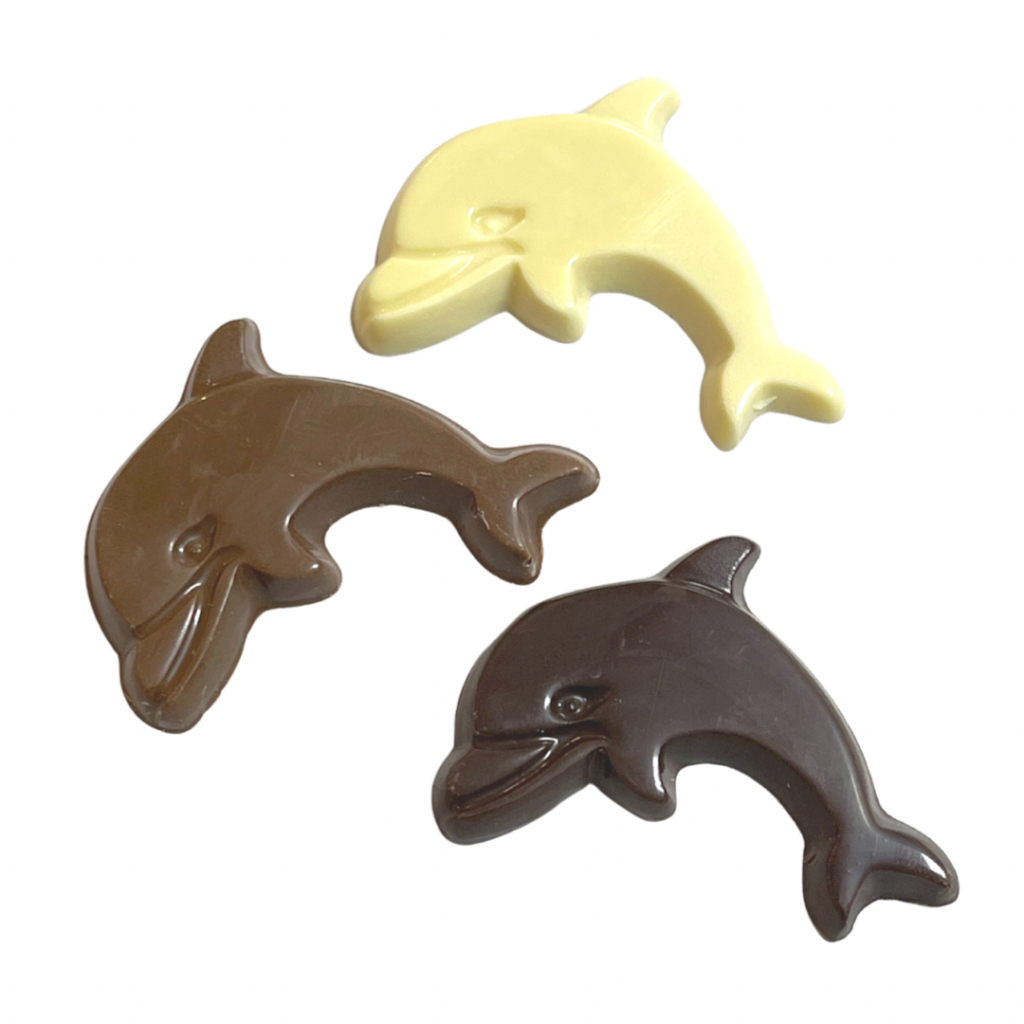 Dolphins - Phillip Island Chocolate Factory